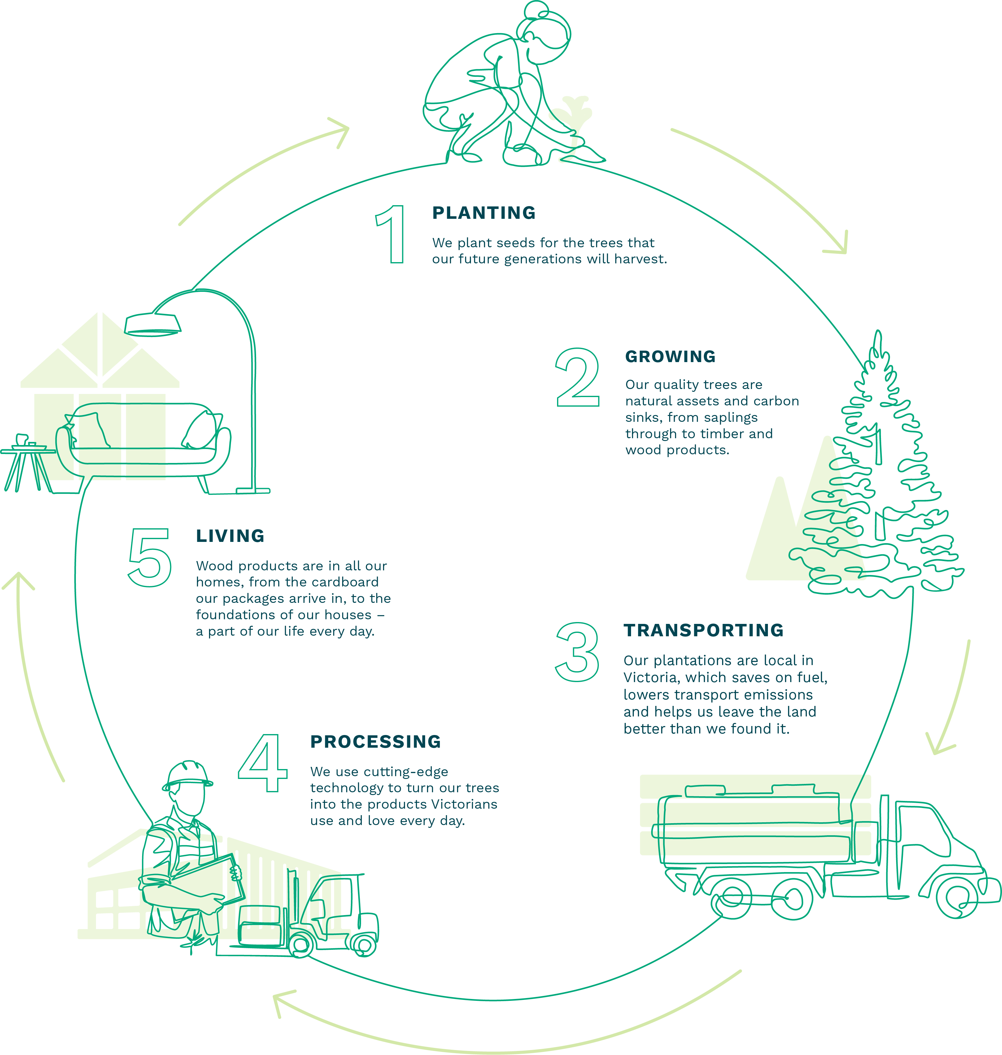 Rethinking Forestry - Victoria Wood