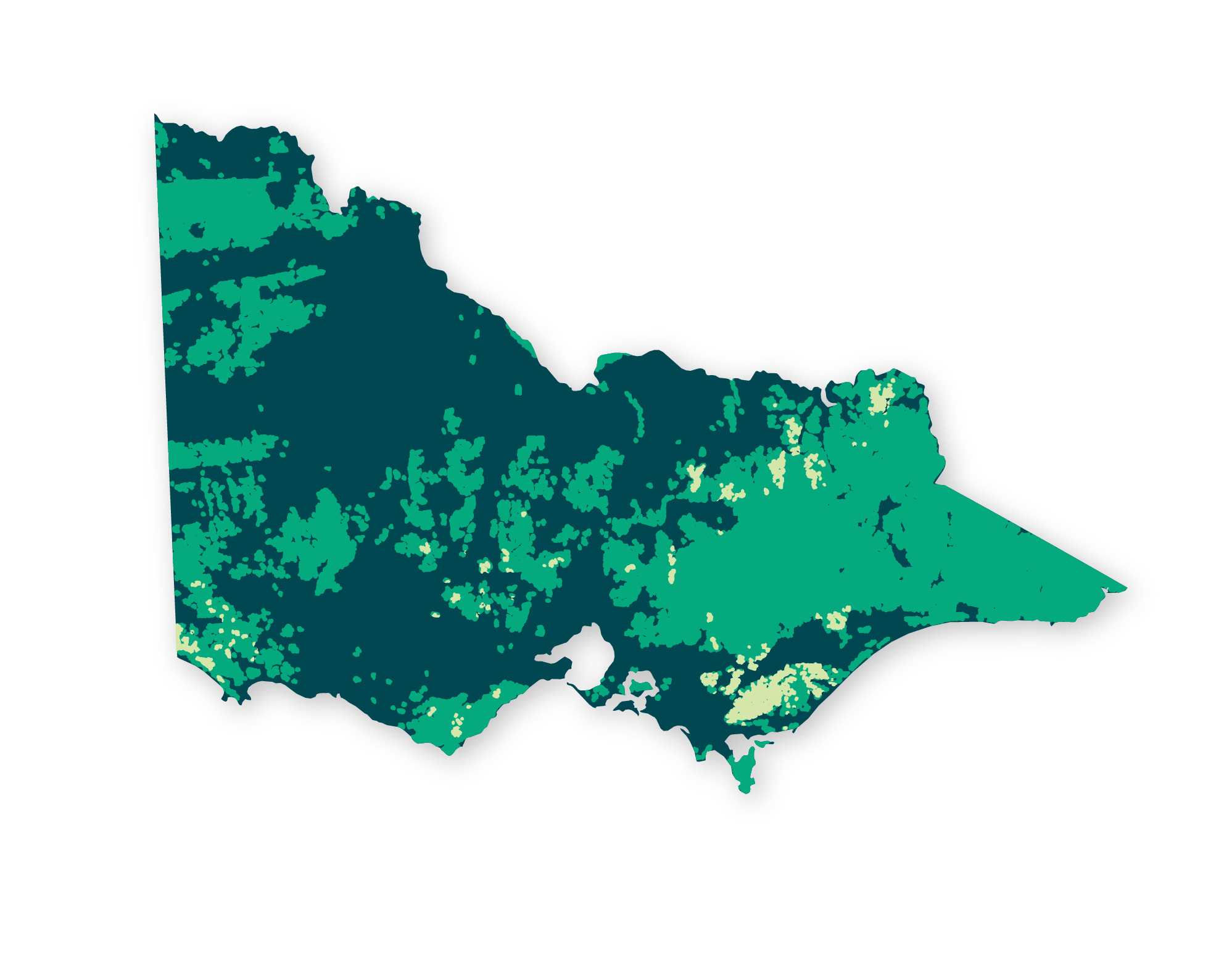 Rethinking Forestry - Victoria Wood