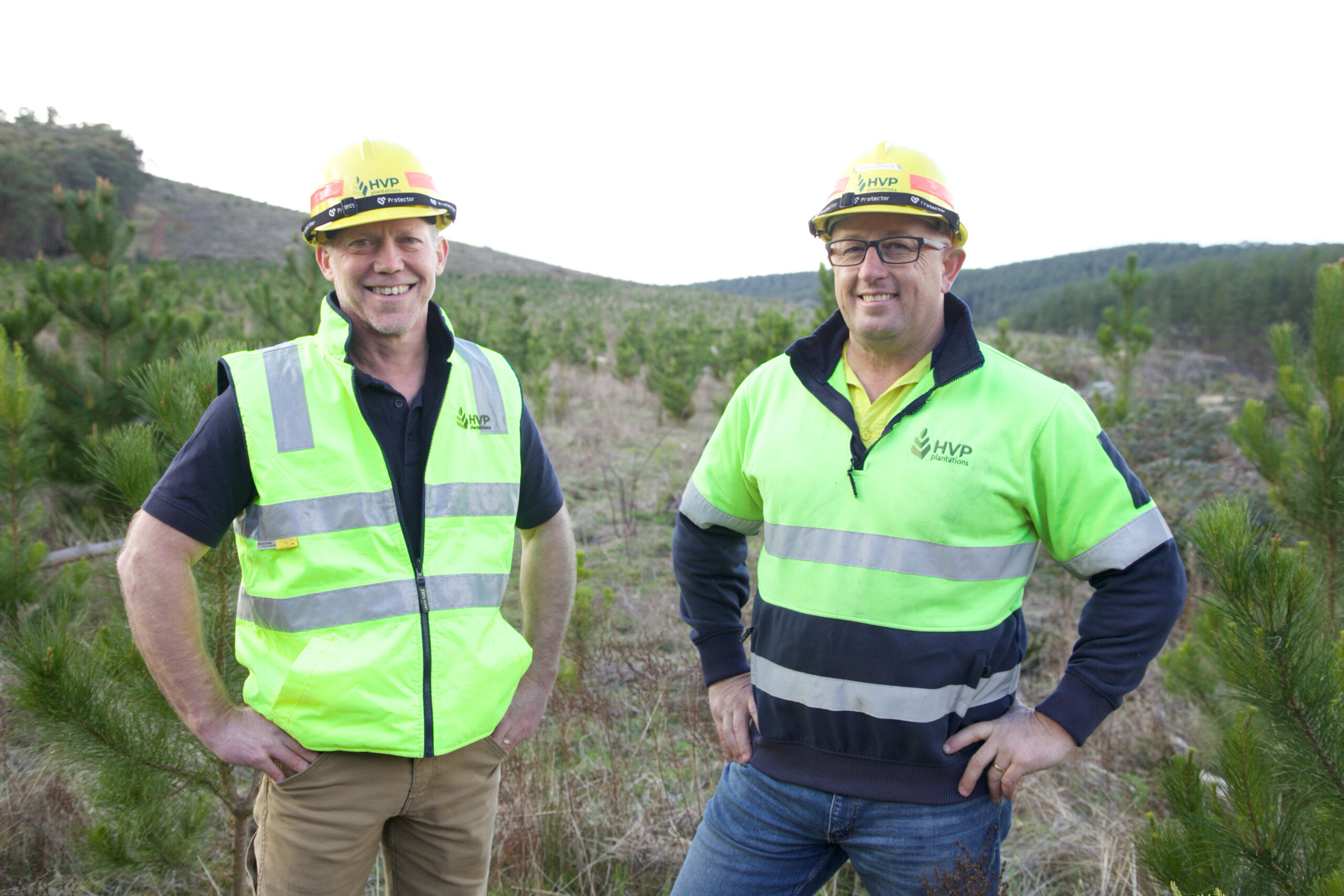 Champions of Wood - Victoria Wood